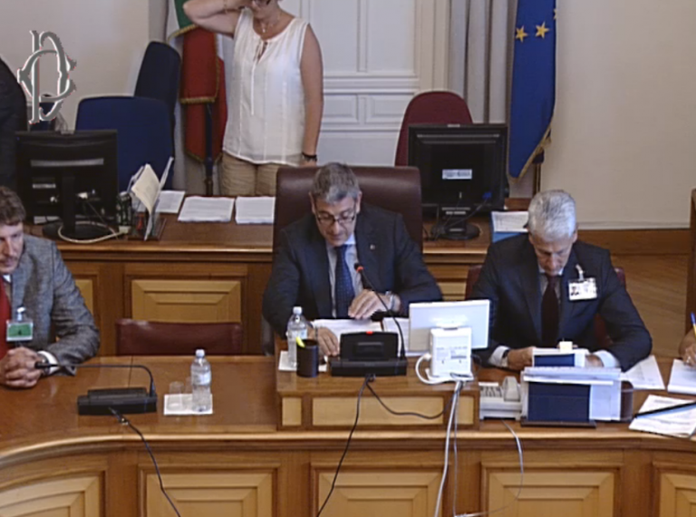 foto-audizione-camera-presidente-commissione - Aigae